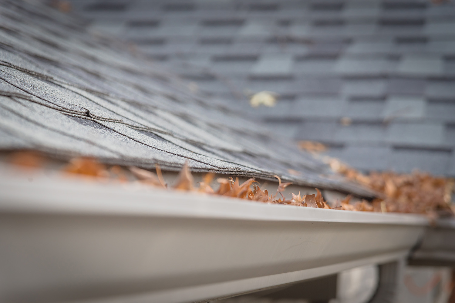 Preparing Your Roof for Spring - Assurance Roofing Co.